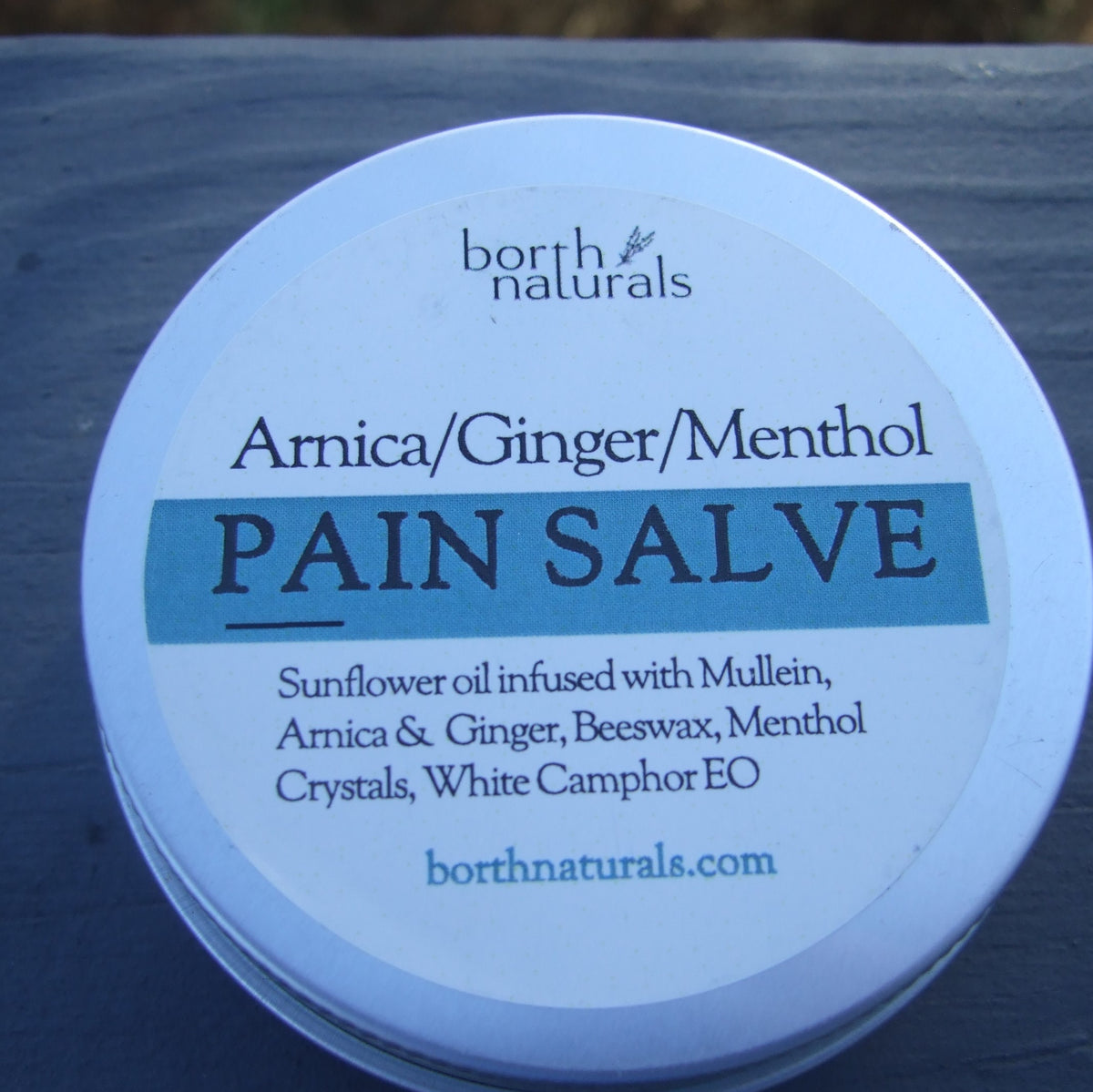 PAIN SALVE - Arnica/Ginger/Menthol – Borth Naturals